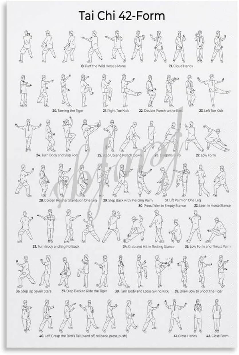 Tai Chi 42 Form Poster Beginners Movement Chart Wall Art Canvas for ...