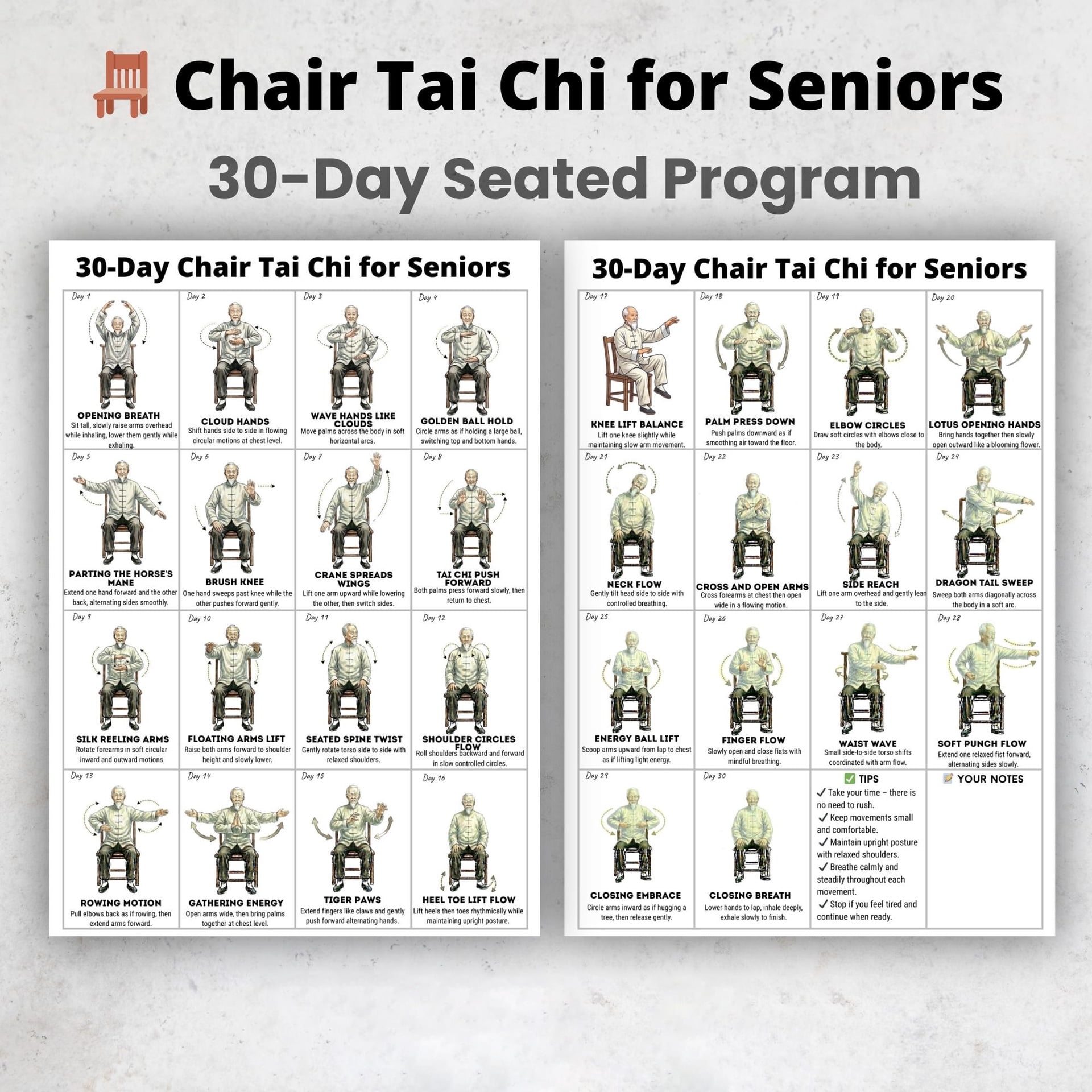 Tai Chi Chair Workout Chart Poster Print Seated Exercises for Beginners ...