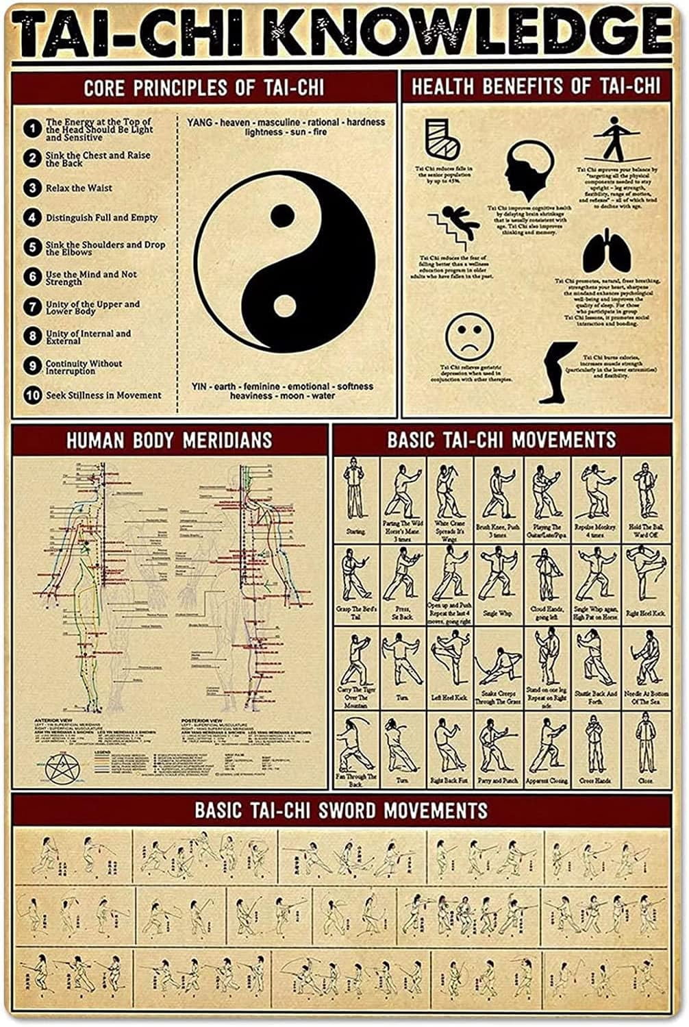 Tai- Chi Knowledge Metal Signs Tai Chi Kung Fu Study Guide Posters ...