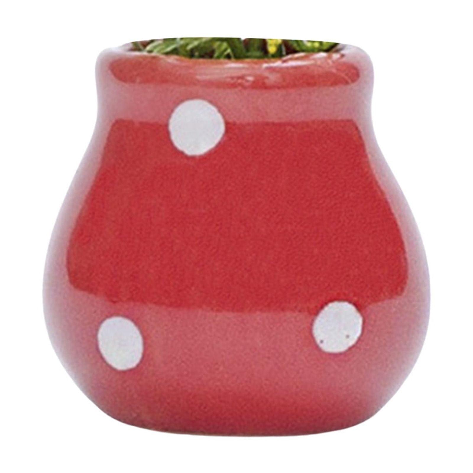 Taicans 2025 New Cute Plant Fridge Magnets Funny Mini Plant Magnets for ...