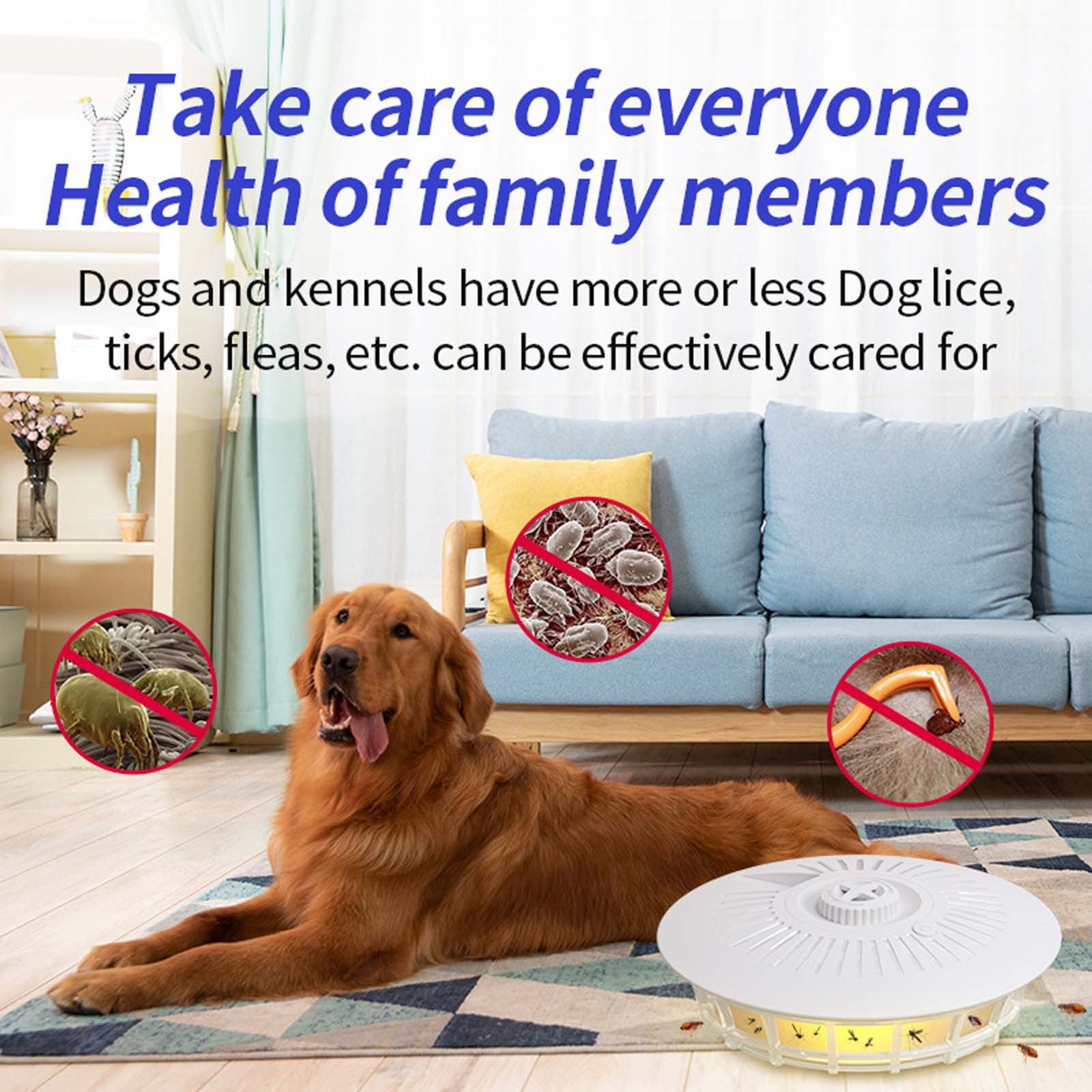 Taicans Flea Trap,Flea Traps for Home with Sticky Pads Refills & Light ...