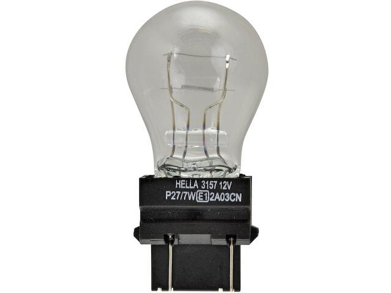 Tail Light Bulb - Compatible with 1988 - 2004, 2015 - 2017 Ford F-150 ...