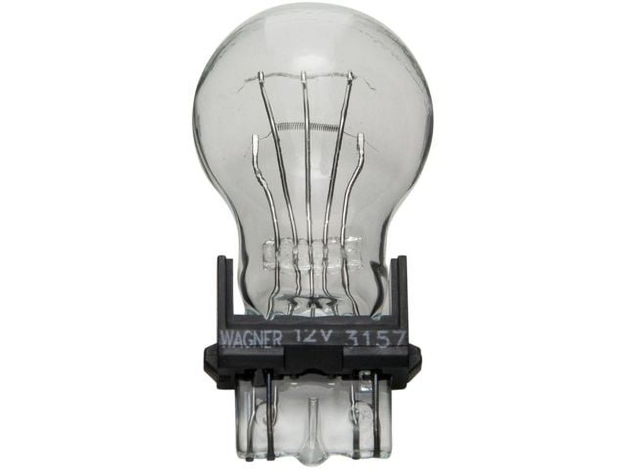 Tail Light Bulb - Compatible with 2000 - 2006, 2008 - 2009, 2012 - 2018 ...