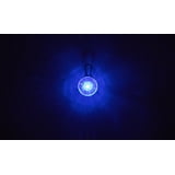 Tail Light LED Circular Collar Charm, Multiple Colors Available ...