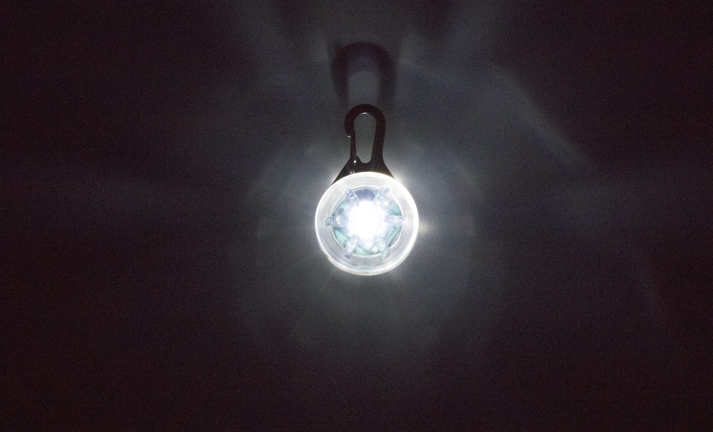 Tail Light LED Circular Collar Charm, Multiple Colors Available ...