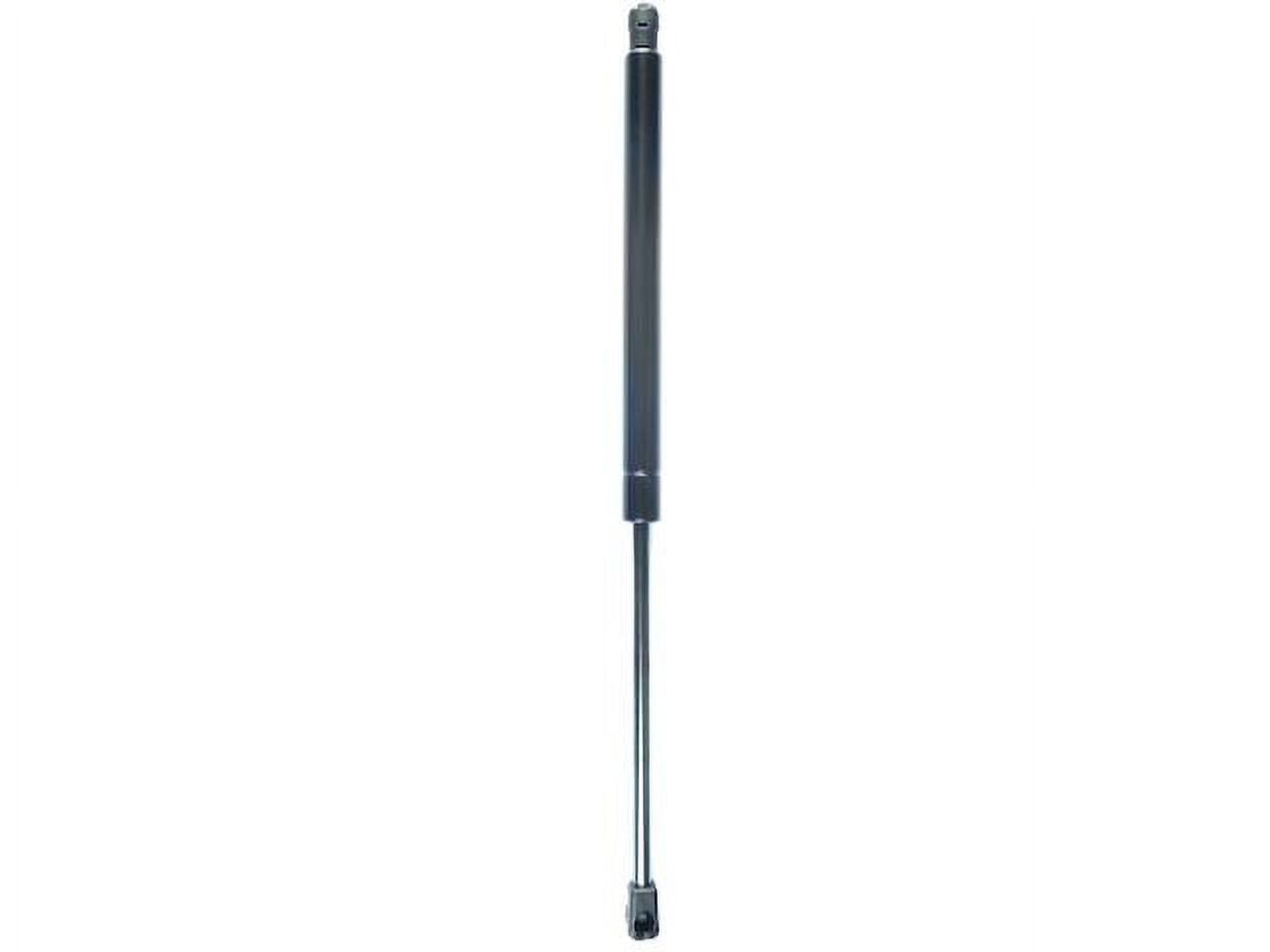 Tailgate Strut - Compatible with 1993 - 1997 Ford Escort Wagon 4-Door ...