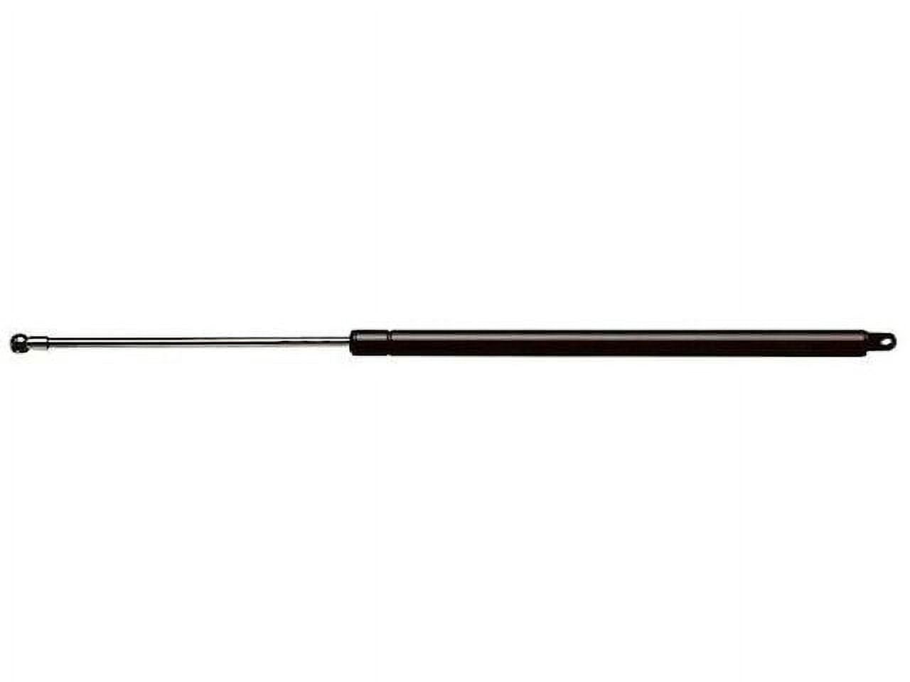 Tailgate Strut - Compatible with 1999 - 2004 Suzuki Vitara 2000 2001 ...