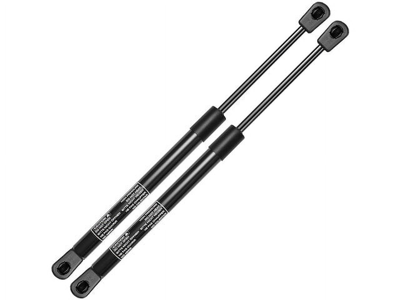Tailgate Strut Set - Compatible with 1979 - 1993 Ford Mustang 1980 1981 ...