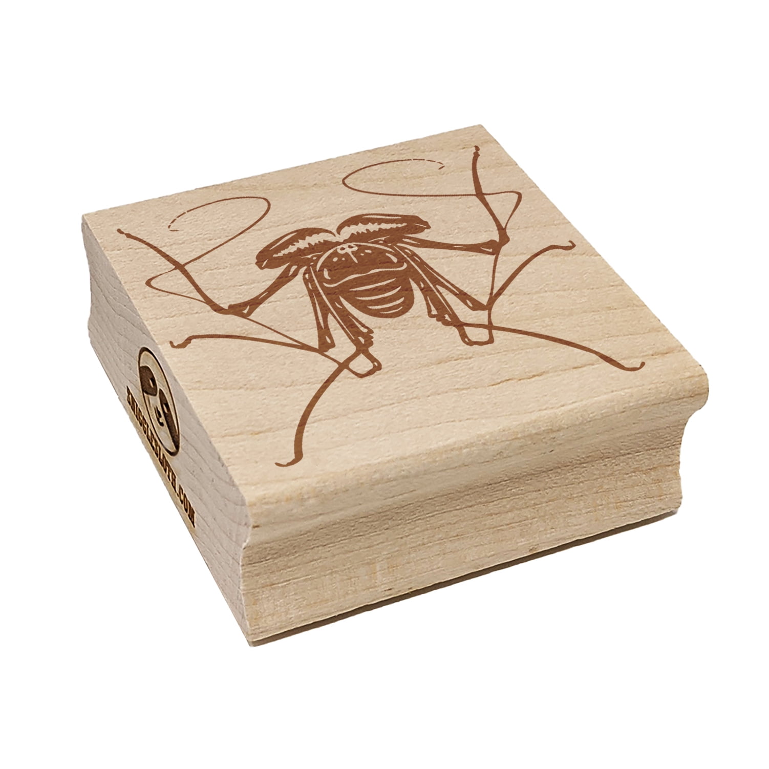 Tailless Whip Scorpion Creepy Bug Square Rubber Stamp Stamping ...
