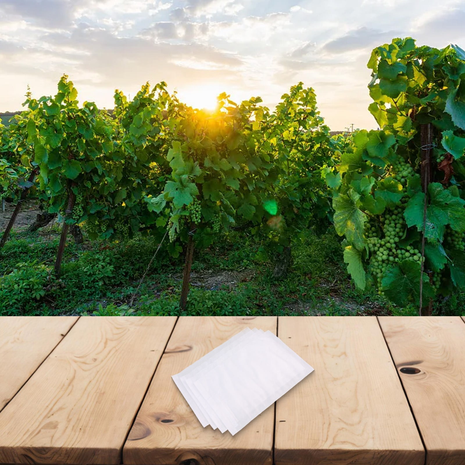 Taituoti 100Pcs Grape Protection Bags Fruit Vegetable Mesh Bag Anti ...