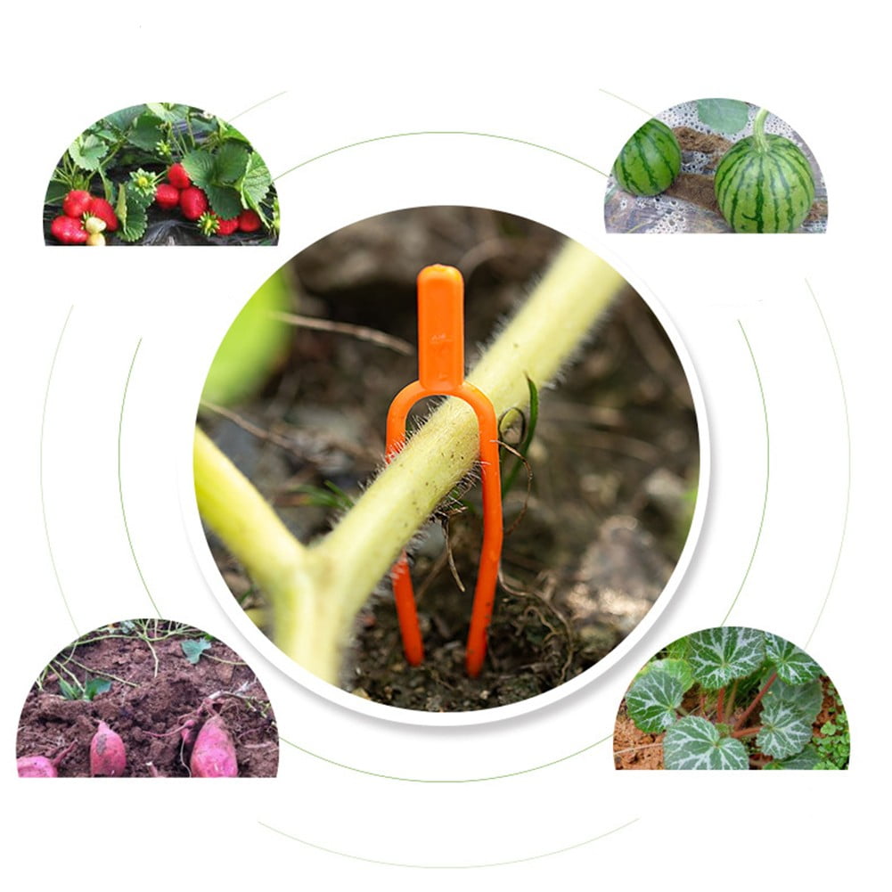 Taituoti 65Mm Plant Stem Fixator Strawberry Fork Holder Watermelon ...
