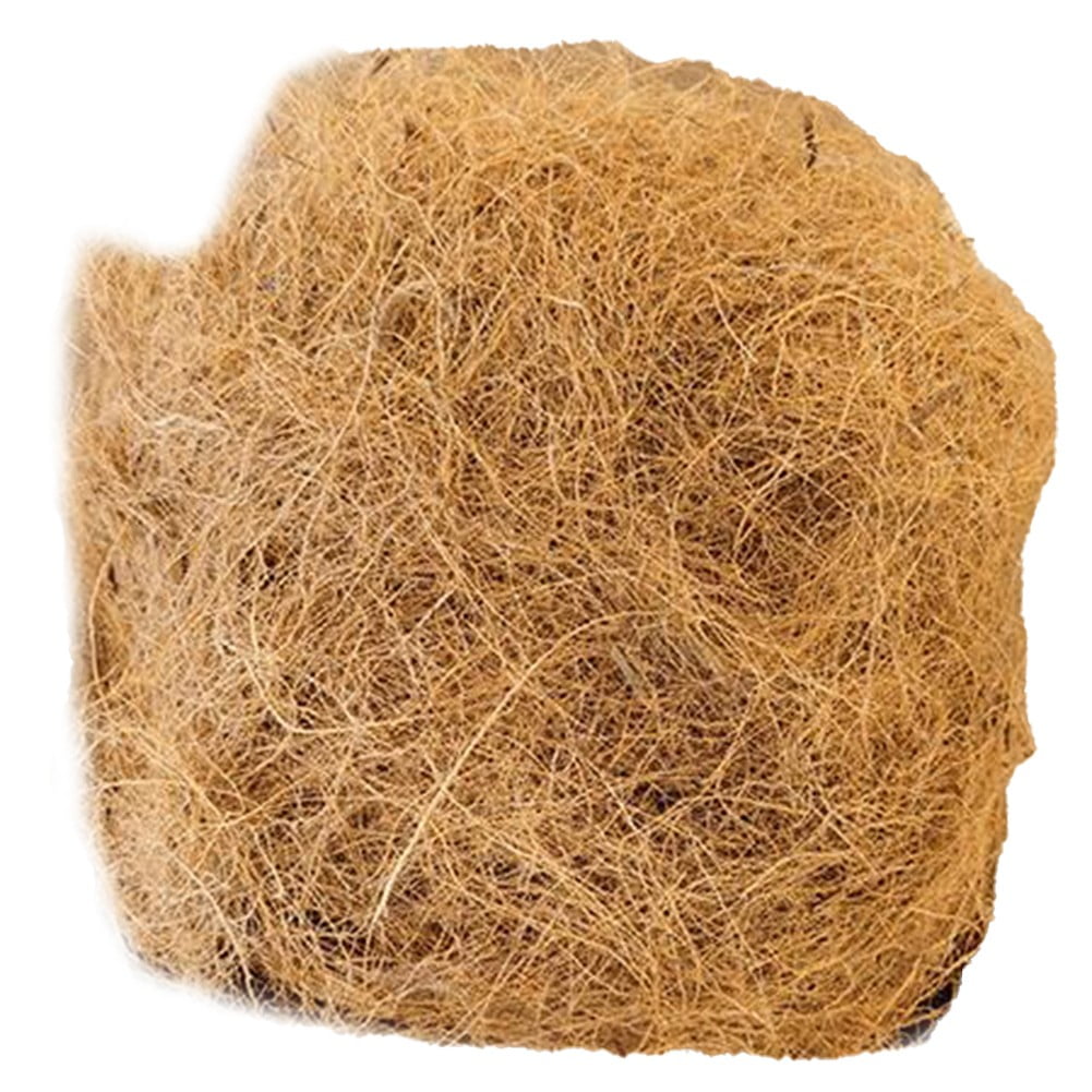 Coconut Grass