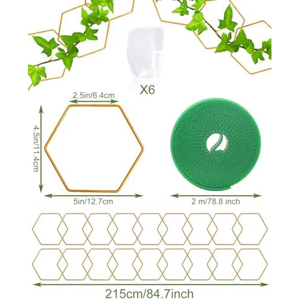 Taituoti Diy 18 Pcs Hexagonal Chain Trellis For Climbing Plants ...