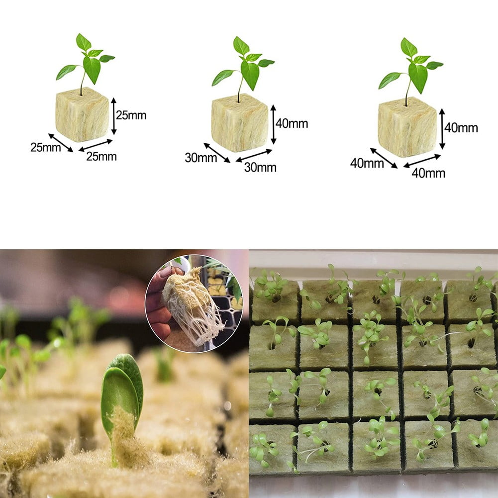 Taituoti Flower Soilless Culture Substrate Wool Block Grodan Cubes,25* ...