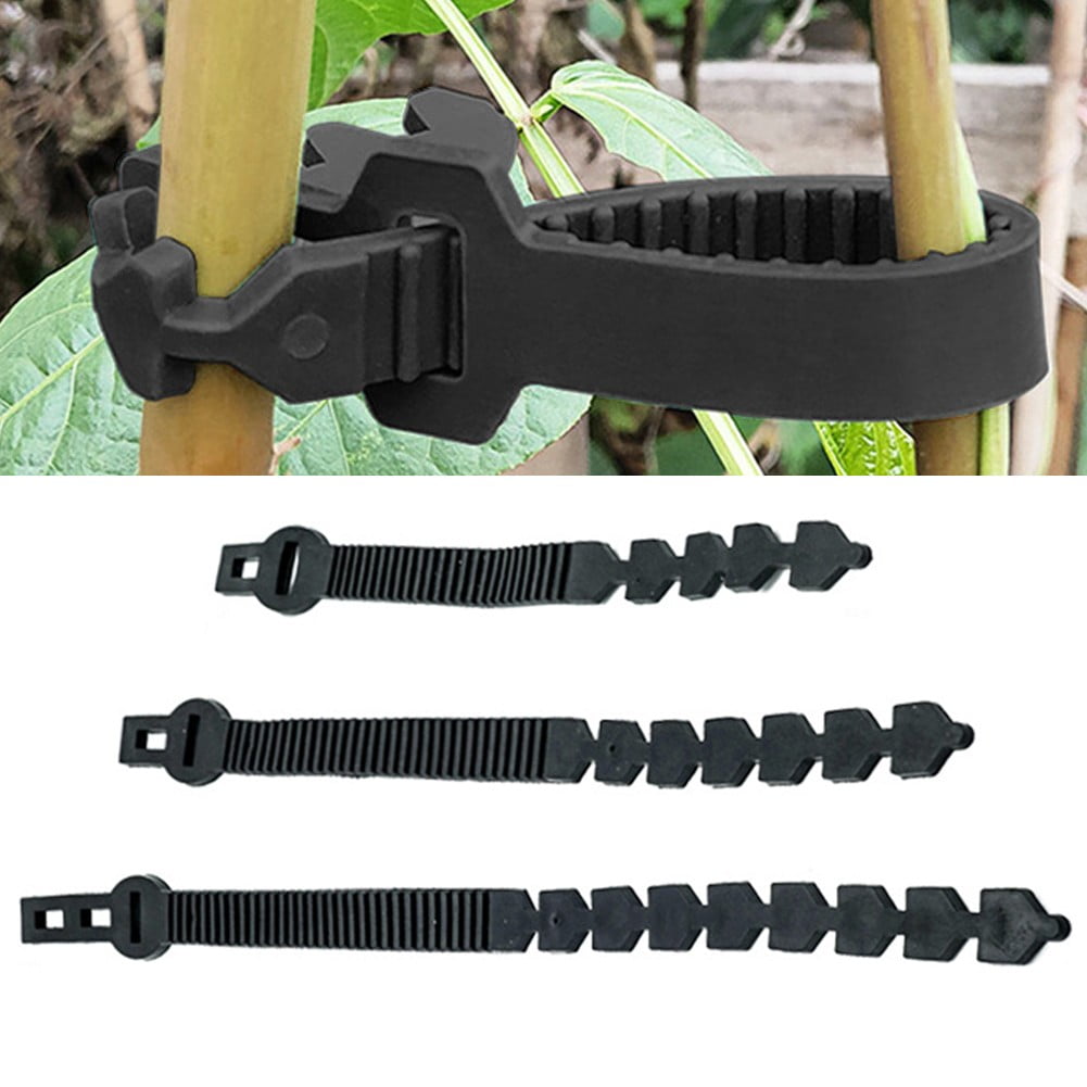 Taituoti Interlock Garden Tree Ties Tree Training Tree Stake Supports ...