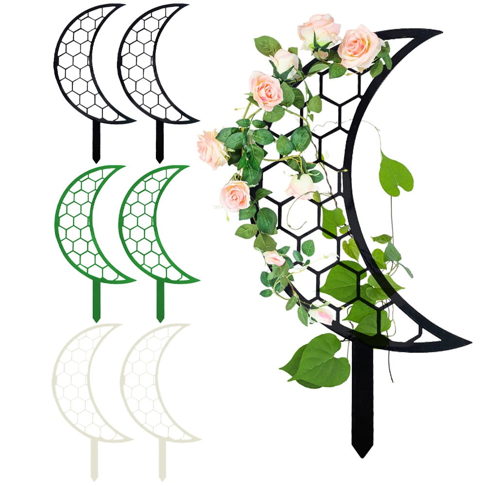 Taituoti Moon Climbing Vine Bracket Plant Climbing Support Garden ...