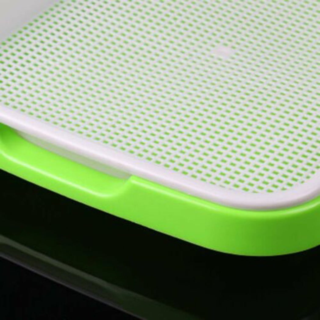 Taituoti Sprouter Tray Soil-Free Big Capacity Germination Grass Box ...