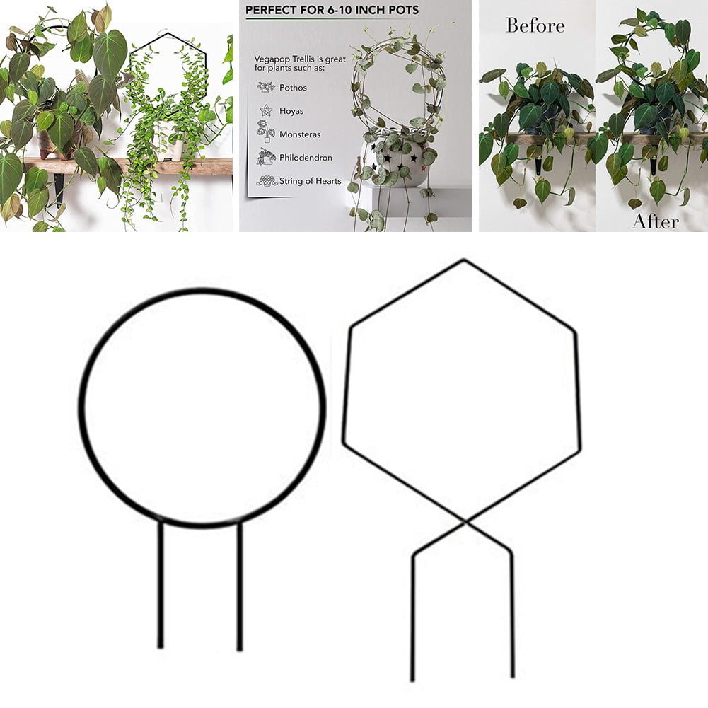 Taituoti Vine Climbing Rack Flower Plant Trelli Support Frame,Hexagonal ...