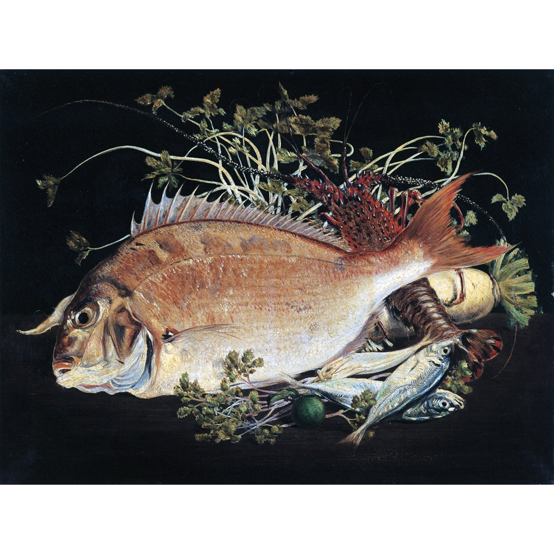 Takahashi Sea Bream Fish Painting Extra Large Art Print Wall Mural ...
