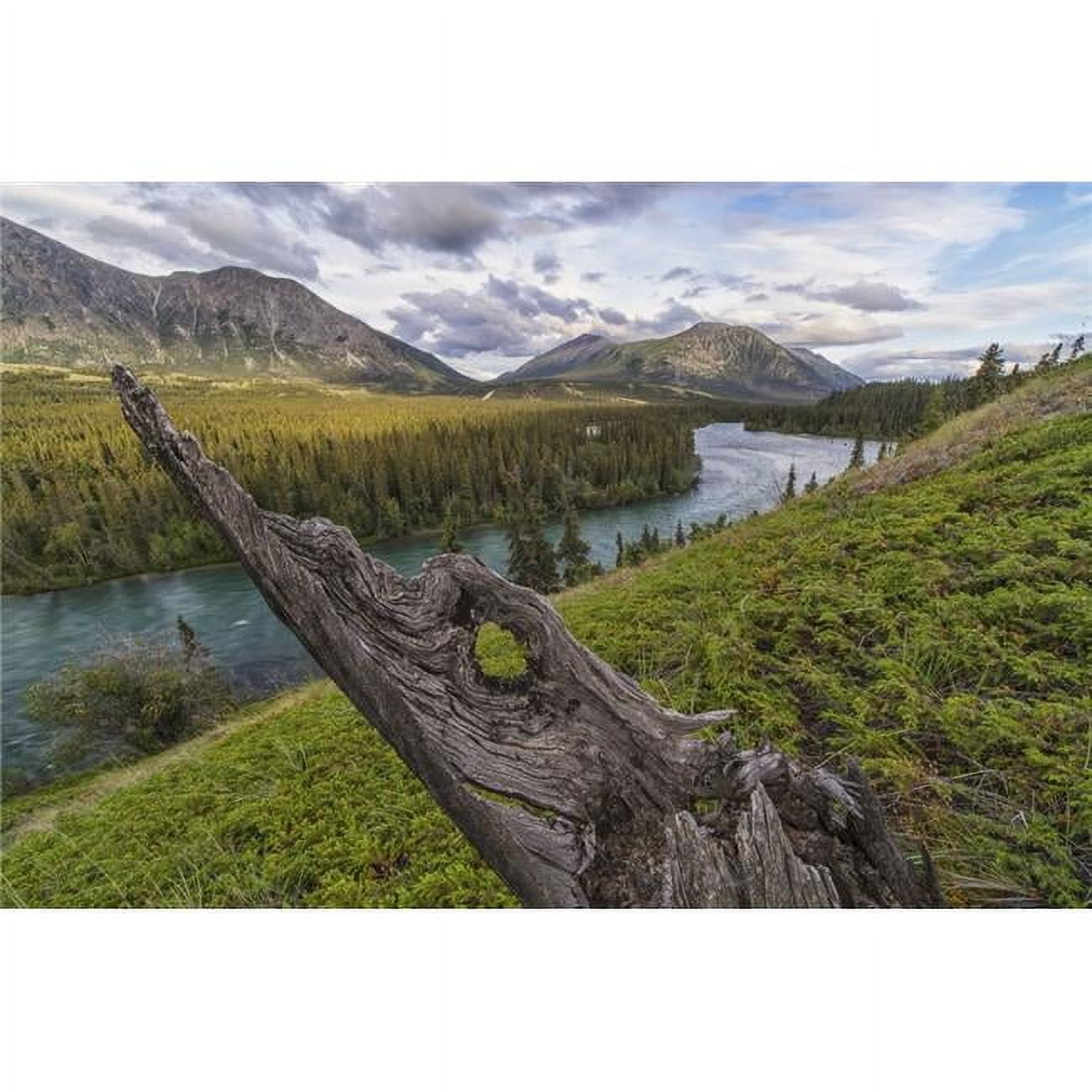 The Takhini River Flows Through A Valley Near Kusawa Lake with An Old ...