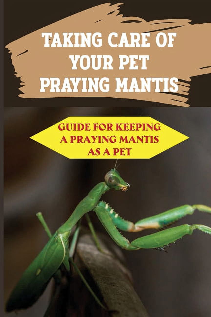 Taking Care Of Your Pet Praying Mantis: Guide For Keeping A Praying ...