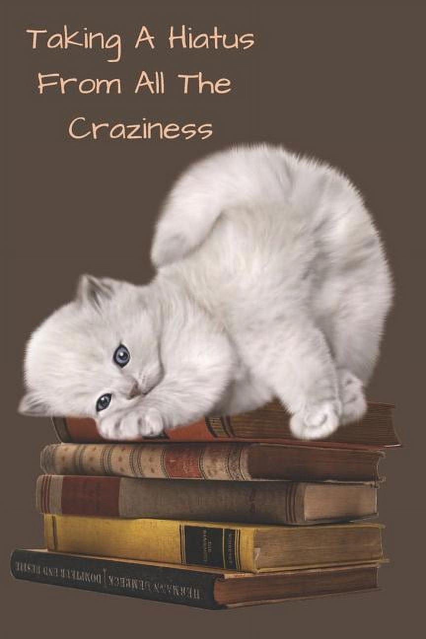 Taking a Hiatus from All the Craziness: The Comeback Writing Journal ...