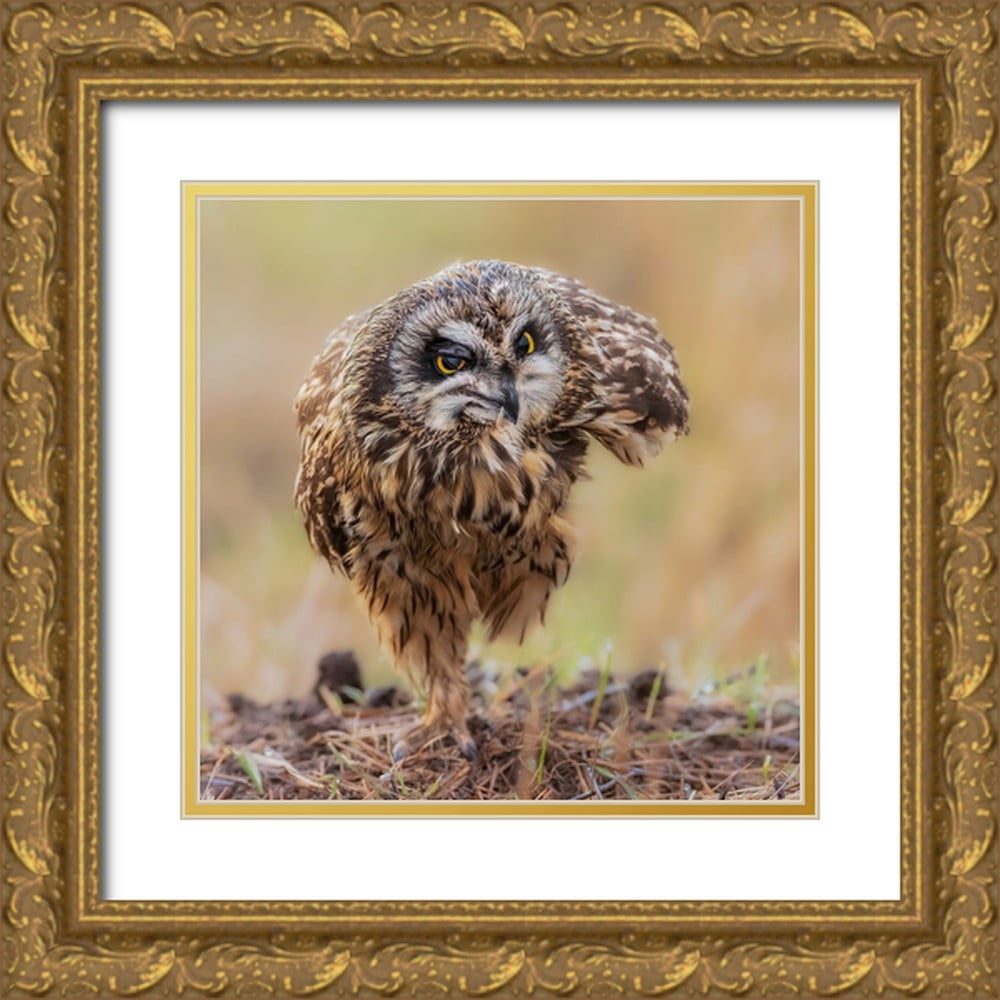 Taksing 20x20 Gold Ornate Wood Framed with Double Matting Museum Art ...