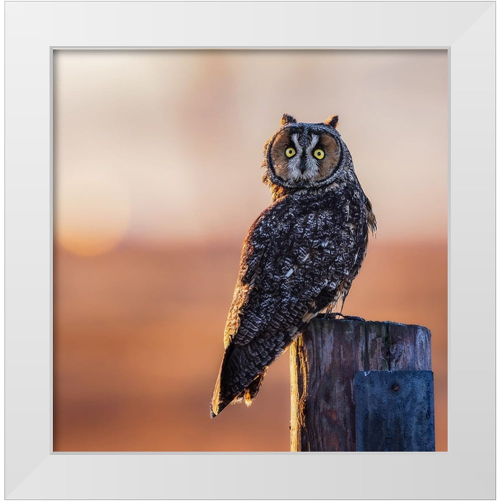 Taksing 20x20 White Modern Wood Framed Museum Art Print Titled - Good ...