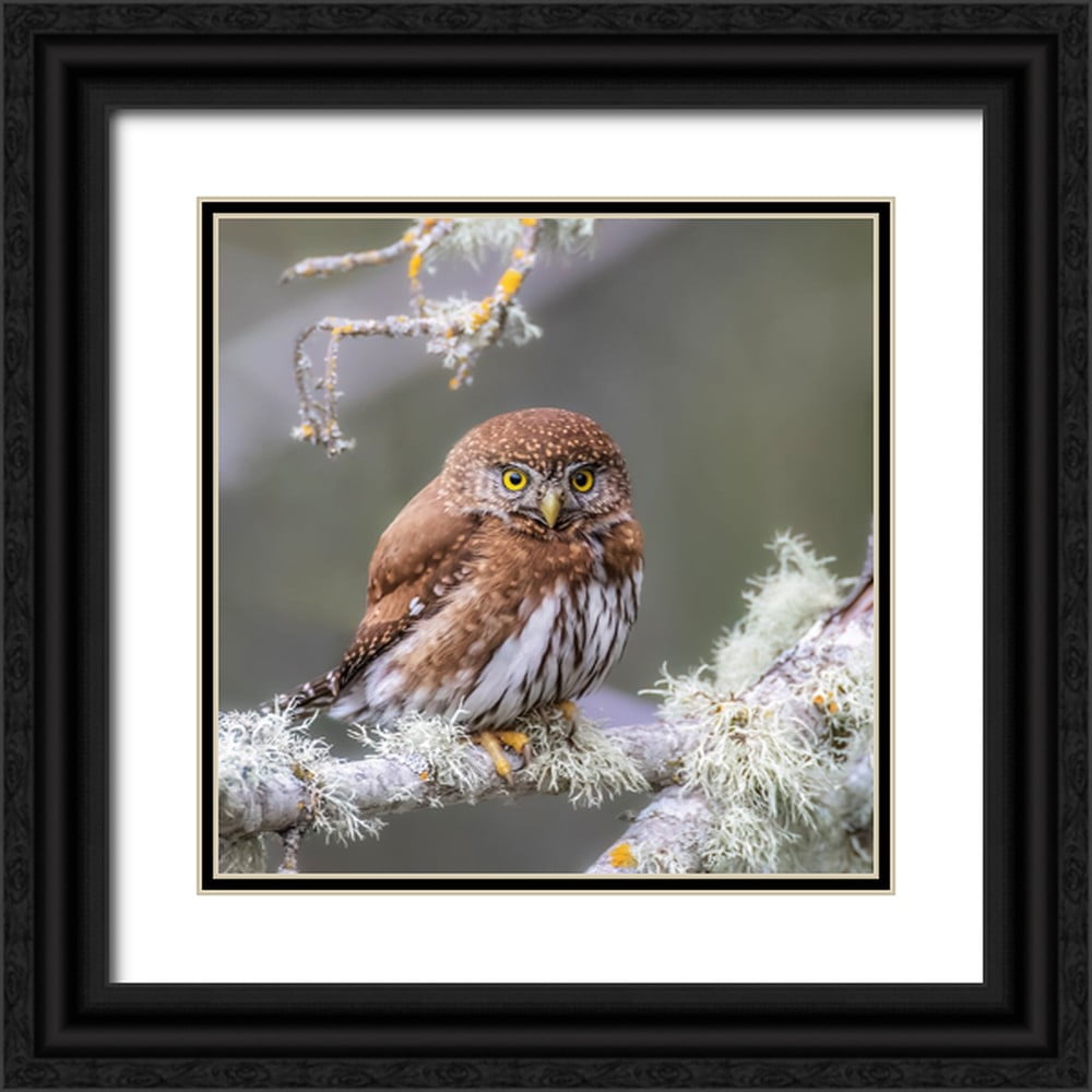 Taksing 26x26 Black Ornate Wood Framed with Double Matting Museum Art ...