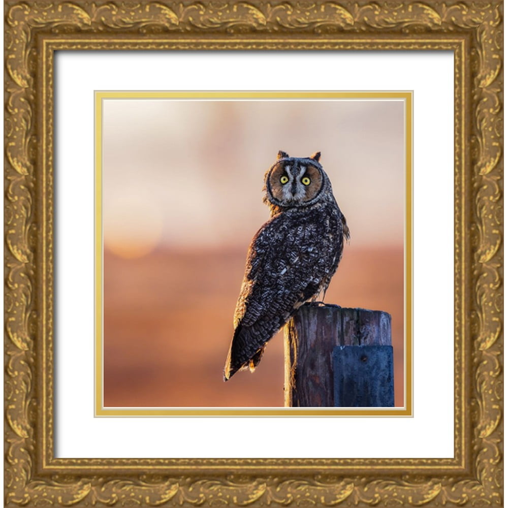 Taksing 26x26 Gold Ornate Wood Framed with Double Matting Museum Art ...