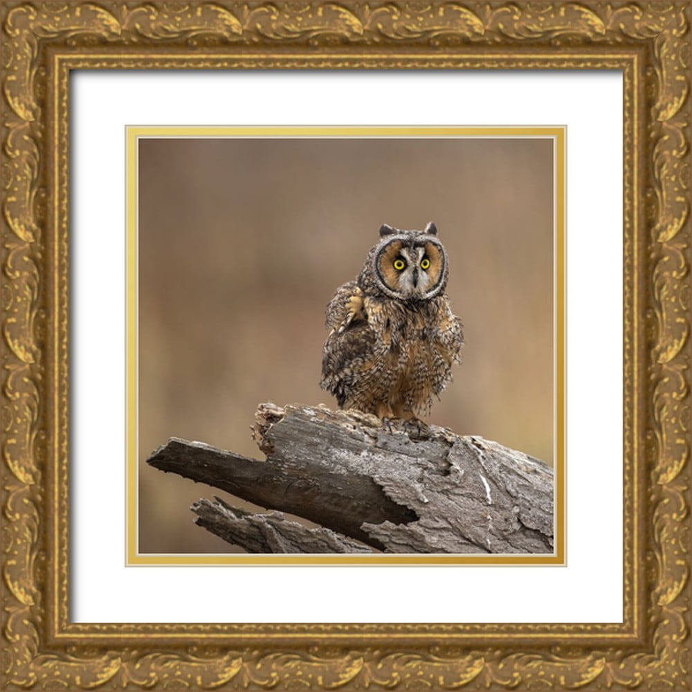 Taksing 26x26 Gold Ornate Wood Framed with Double Matting Museum Art ...