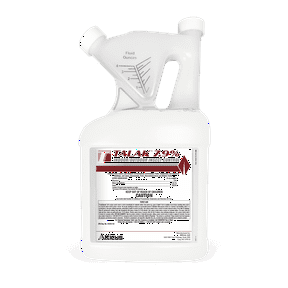 Fipronil Insecticide