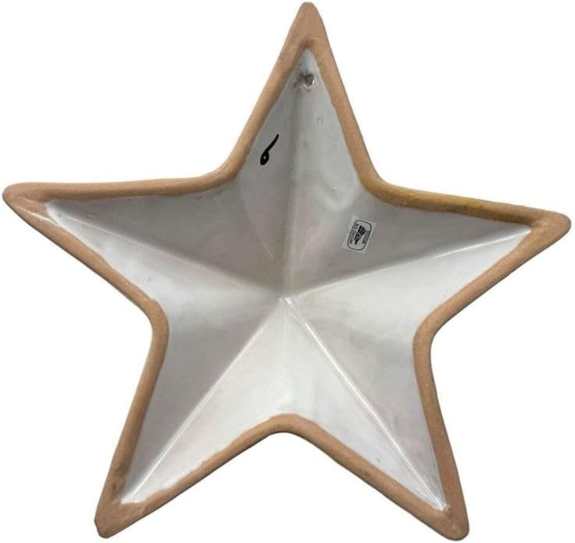 Talavera Star Folk Art Mexican Pottery Estrella Handmade Hand Painted ...