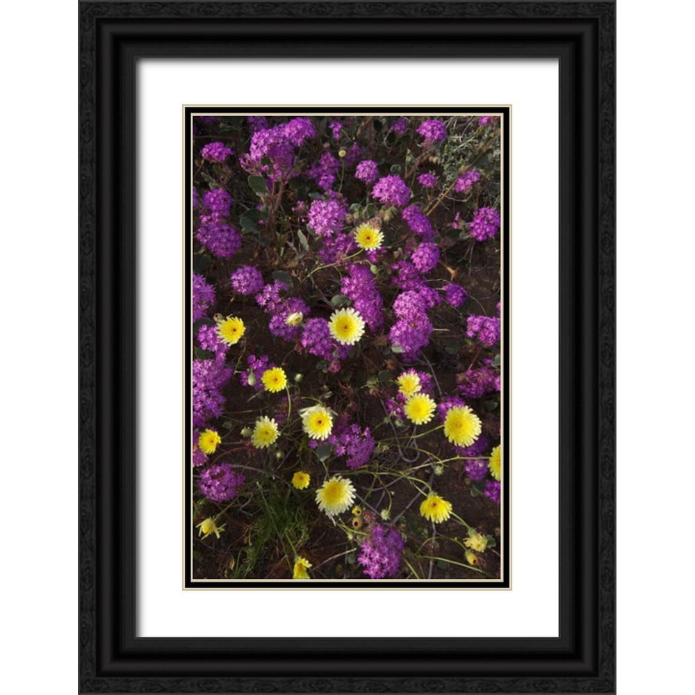 Talbot Frank, Christopher 11x14 Black Ornate Wood Framed with Double ...