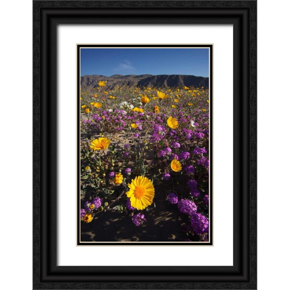 Talbot Frank, Christopher 11x14 Black Ornate Wood Framed with Double ...