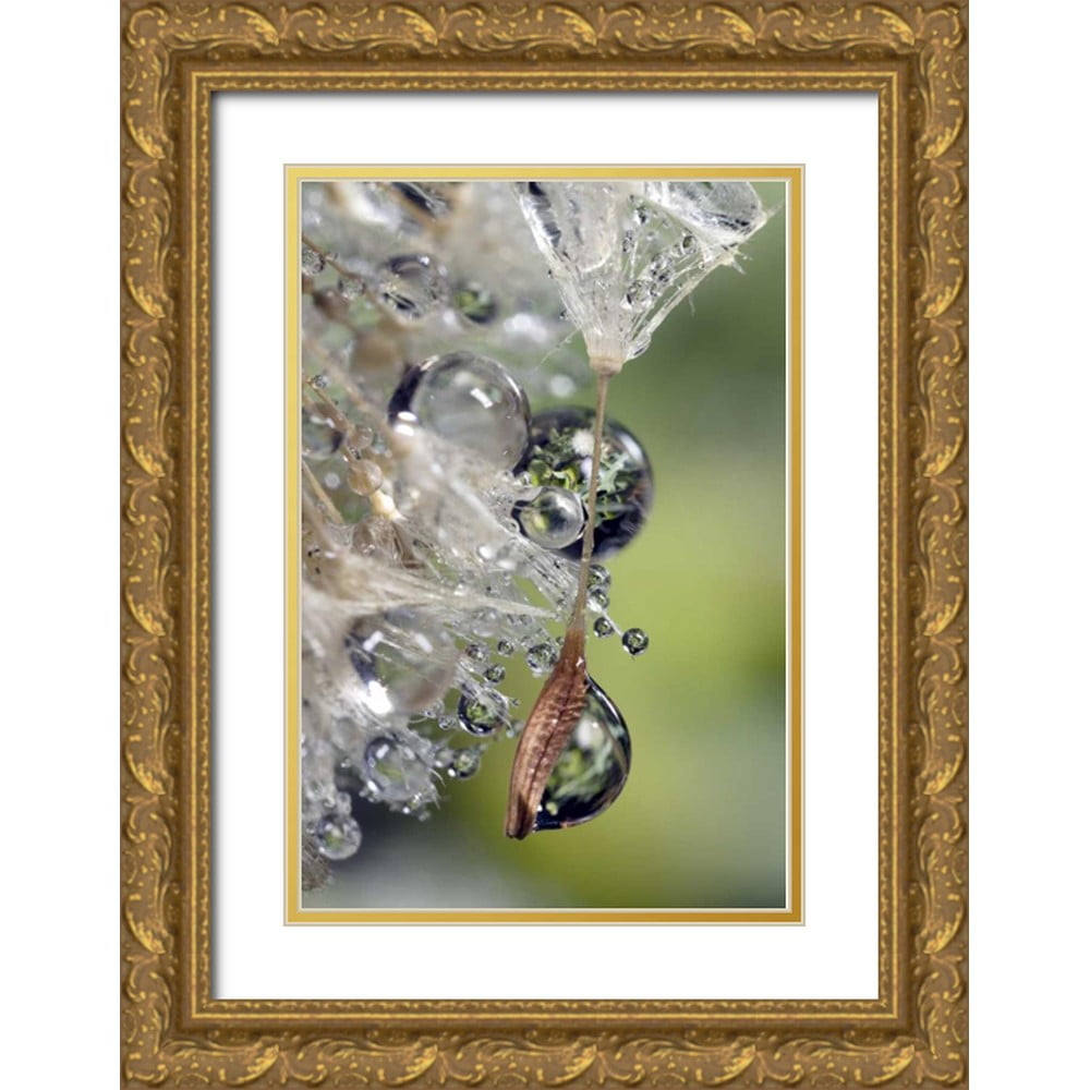 Talbot Frank, Christopher 11x14 Gold Ornate Wood Framed with Double ...