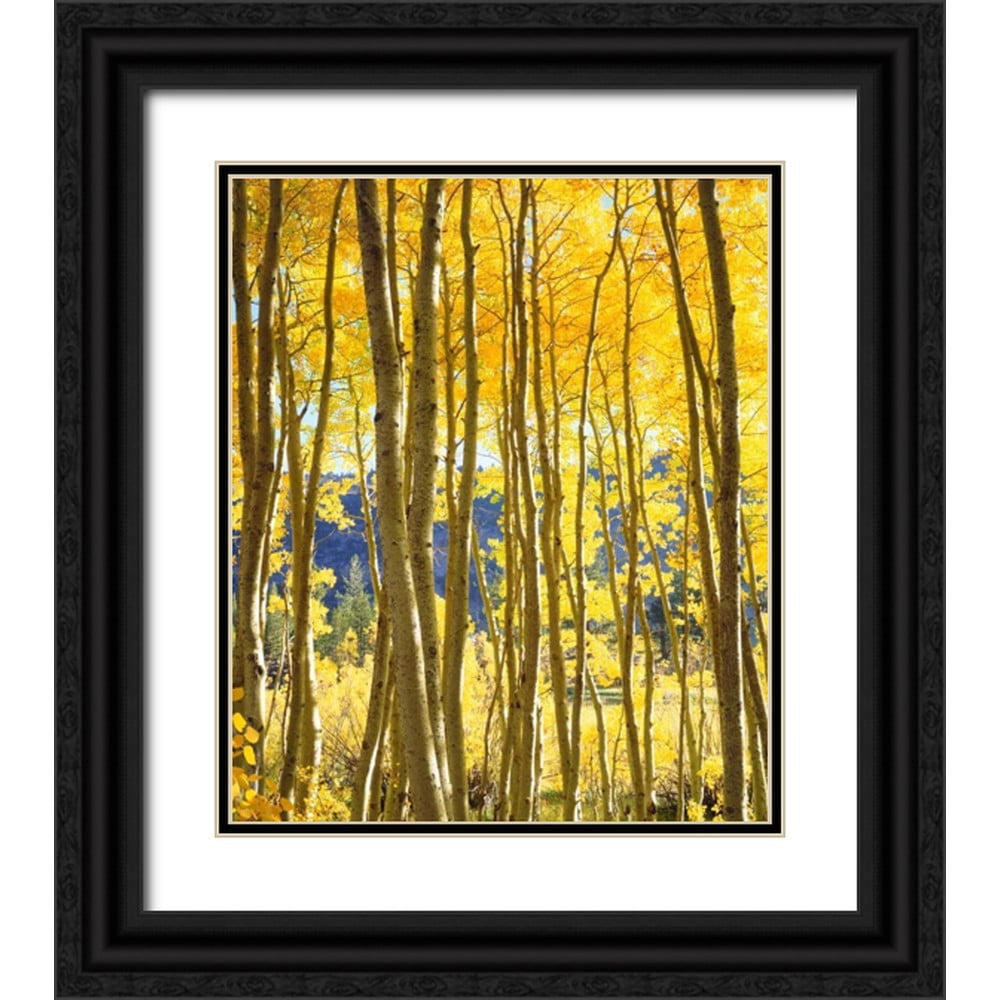 Talbot Frank, Christopher 12x14 Black Ornate Wood Framed with Double ...