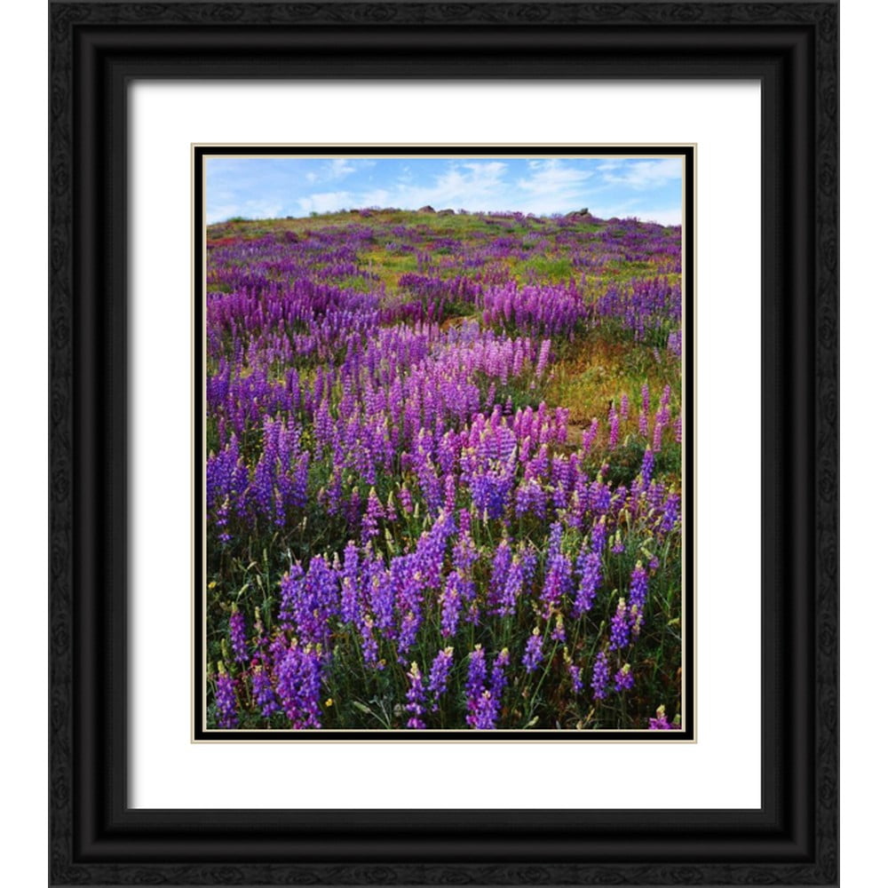 Talbot Frank, Christopher 12x14 Black Ornate Wood Framed with Double ...