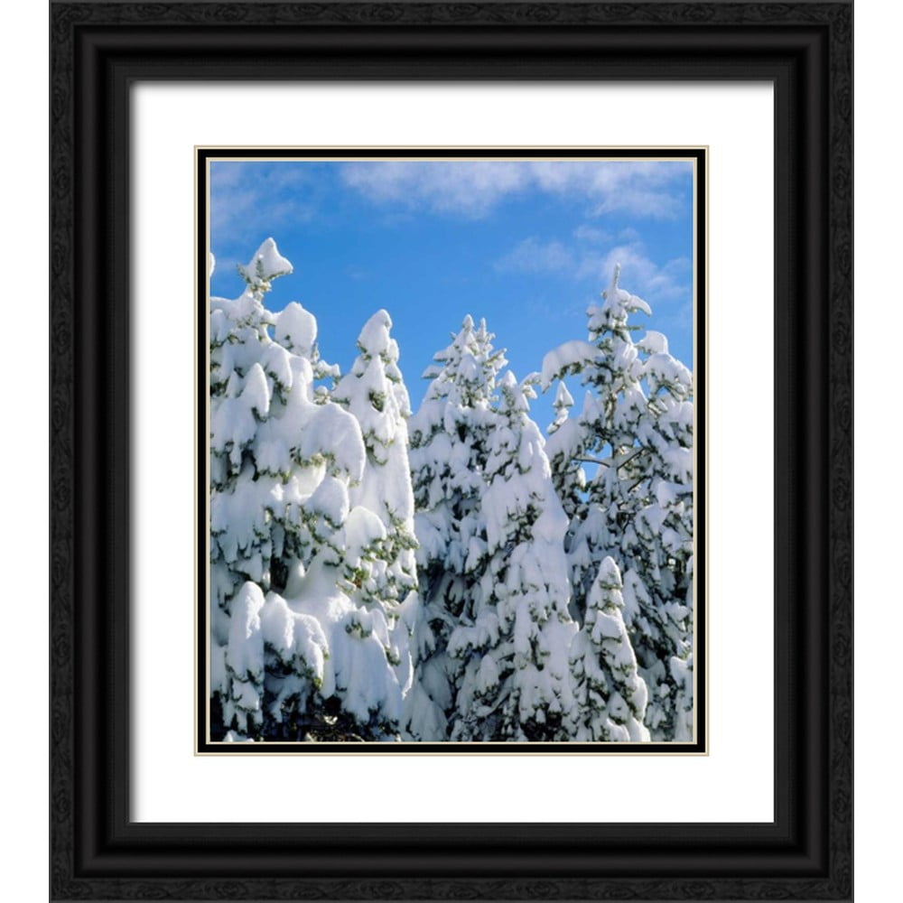 Talbot Frank, Christopher 12x14 Black Ornate Wood Framed with Double ...