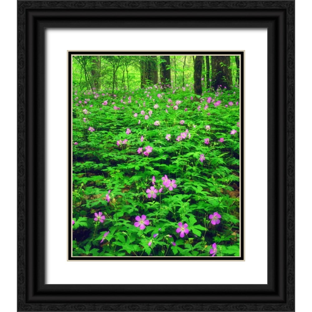 Talbot Frank, Christopher 12x14 Black Ornate Wood Framed with Double ...