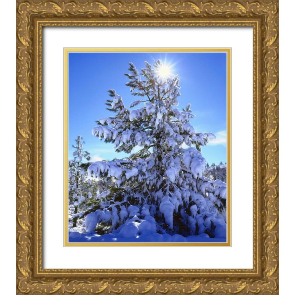 Talbot Frank, Christopher 12x14 Gold Ornate Wood Framed with Double ...