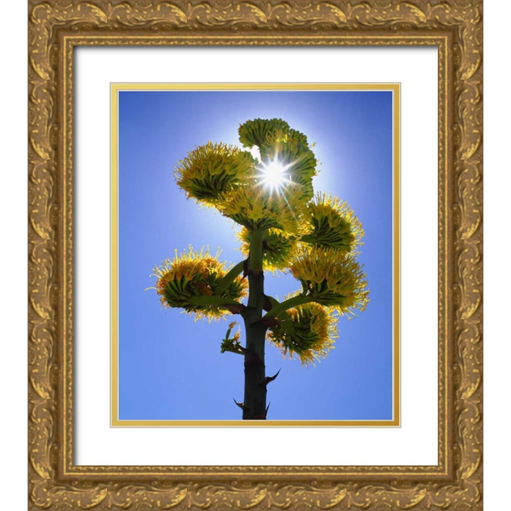 Talbot Frank, Christopher 12x14 Gold Ornate Wood Framed with Double ...