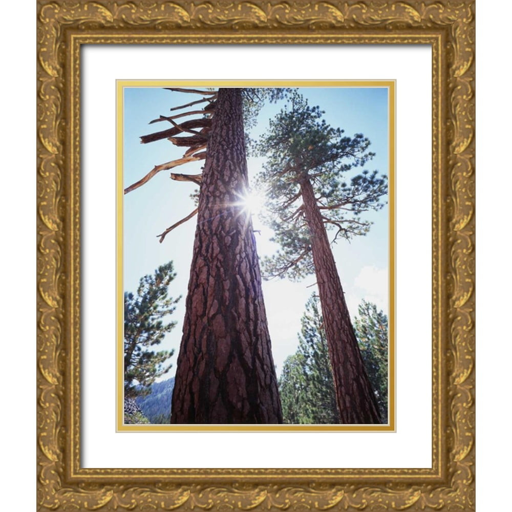 Talbot Frank, Christopher 12x14 Gold Ornate Wood Framed with Double ...