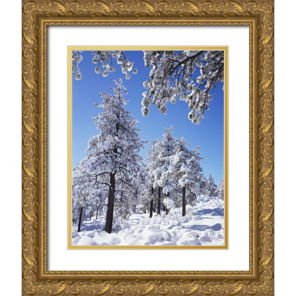 Talbot Frank, Christopher 12x14 Gold Ornate Wood Framed with Double ...