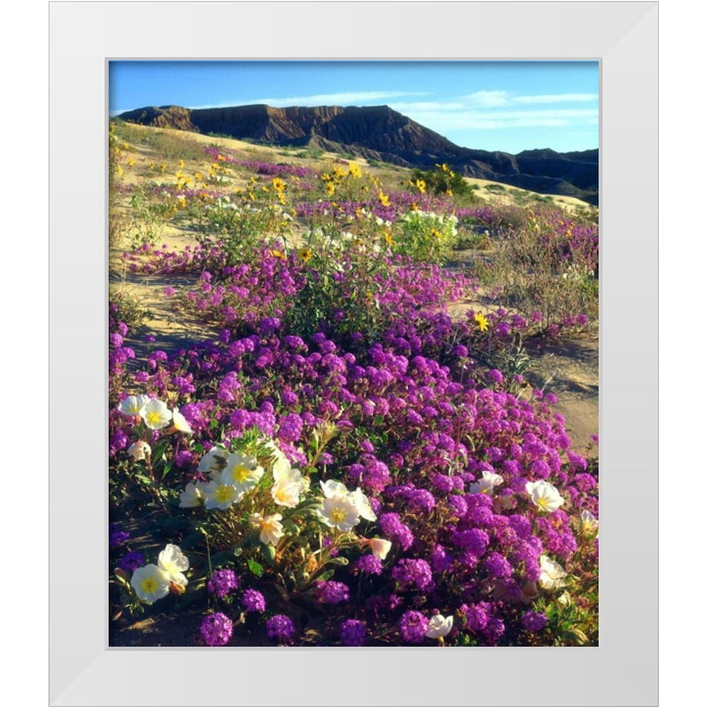 Talbot Frank, Christopher 12x14 White Modern Wood Framed Museum Art ...