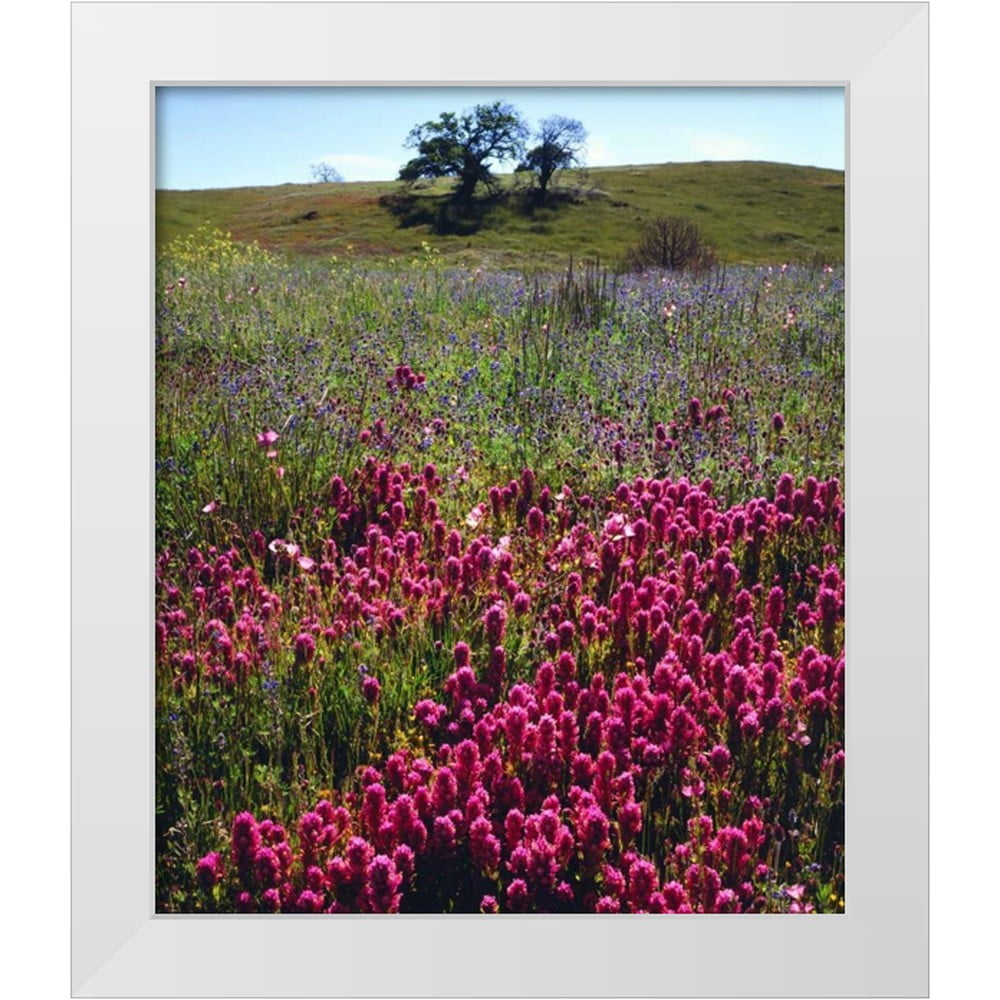 Talbot Frank, Christopher 12x14 White Modern Wood Framed Museum Art ...