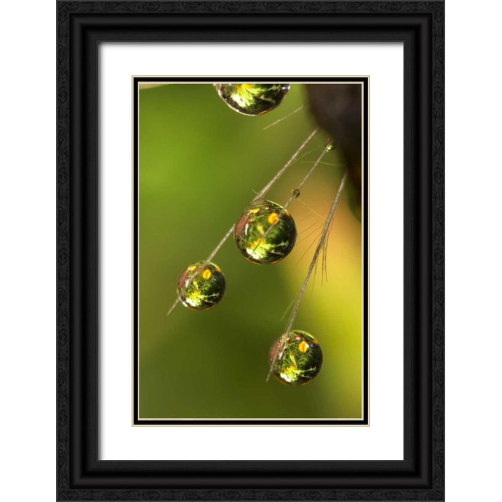 Talbot Frank, Christopher 13x18 Black Ornate Wood Framed with Double ...