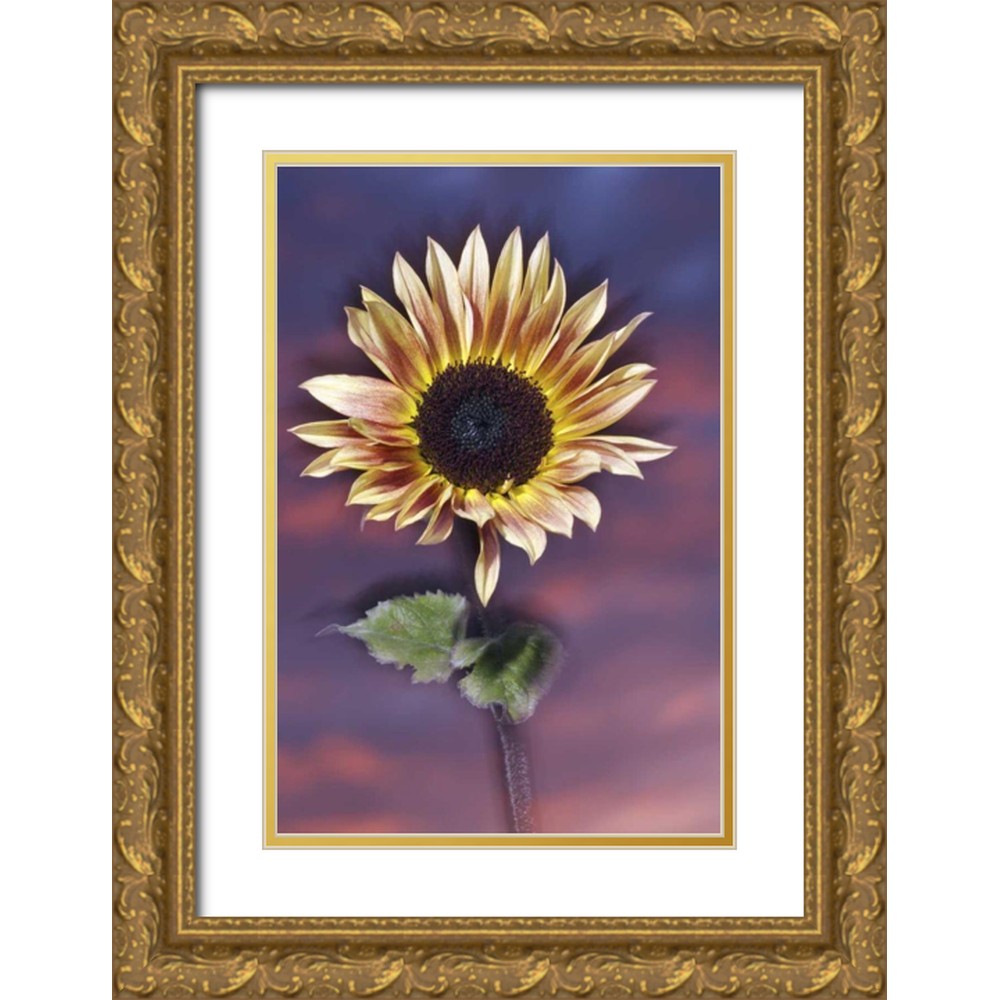 Talbot Frank, Christopher 13x18 Gold Ornate Wood Framed with Double ...