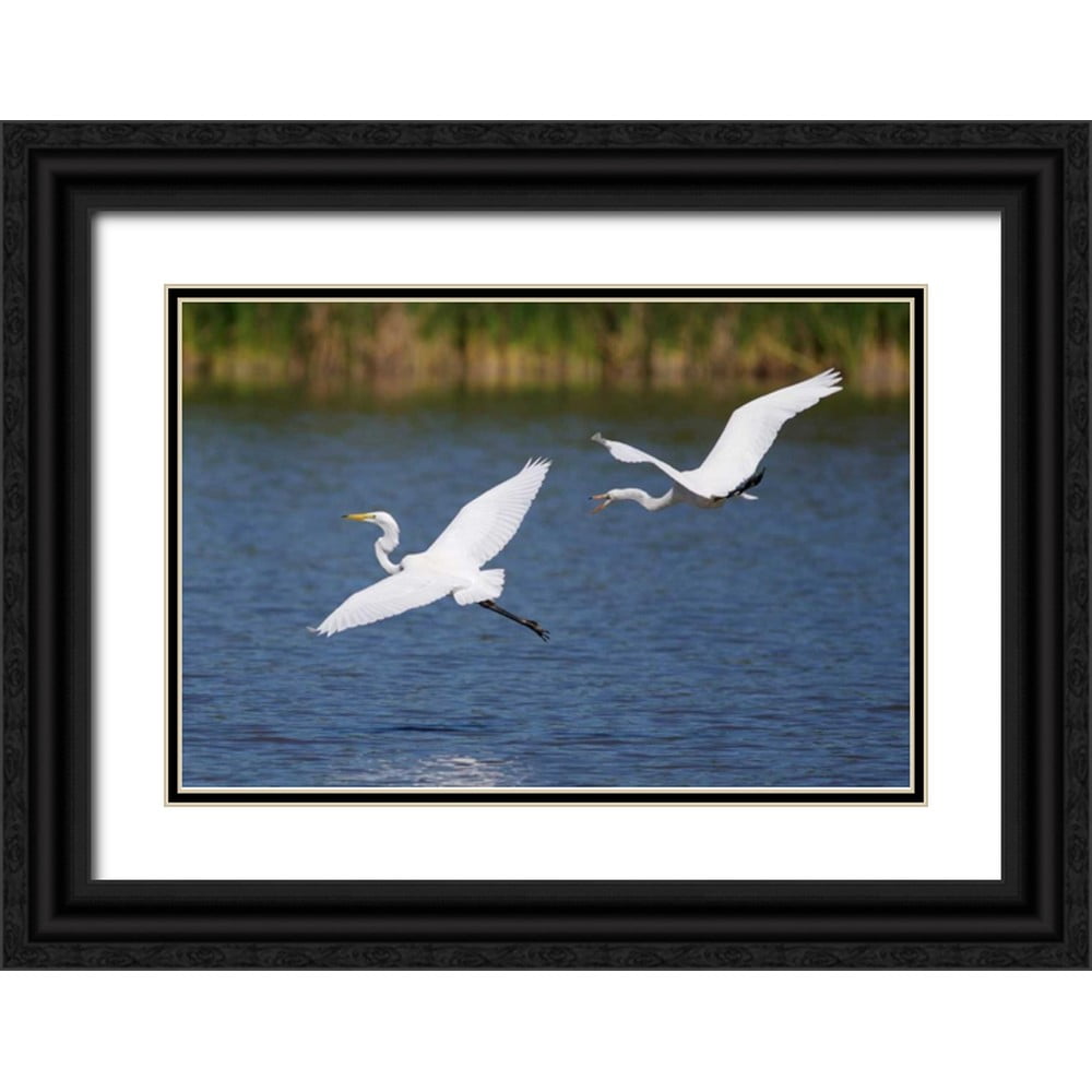 Talbot Frank, Christopher 14x11 Black Ornate Wood Framed with Double ...