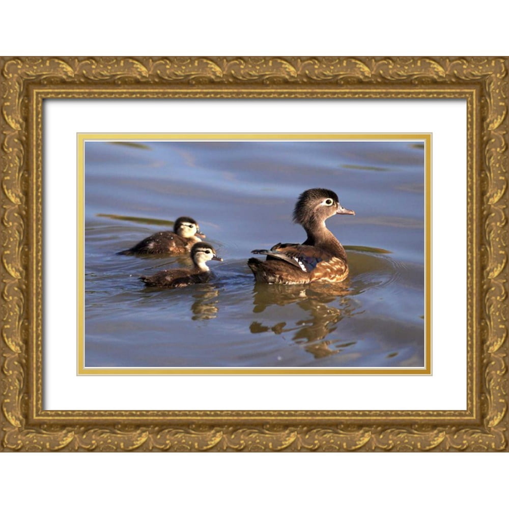 Talbot Frank, Christopher 14x11 Gold Ornate Wood Framed with Double ...